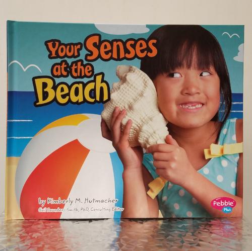 Kids Book | Your Senses At The Beach | Use Your Senses – Poshinate Kiddos