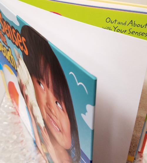 Kids Book | Your Senses At The Beach | Use Your Senses – Poshinate Kiddos