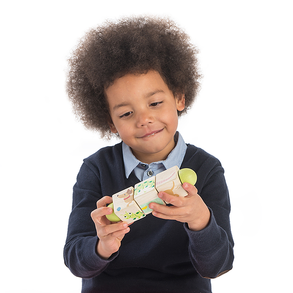 Wooden Toys | Matching & Dexterity Animal Twist Cubes | Sustainable Wo ...